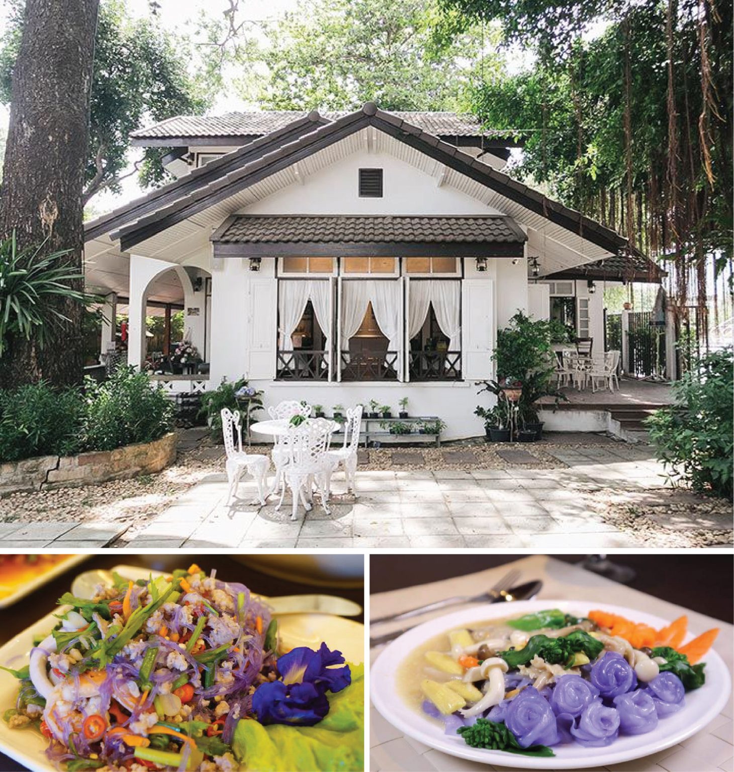 ทริปสั้น ๆ เที่ยว 2 วัน 1 คืน - The Garden 304